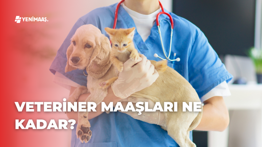 Veteriner Maaşları Ne Kadar? - 2026 Veteriner Maaşı Güncel Liste - Yeni ...